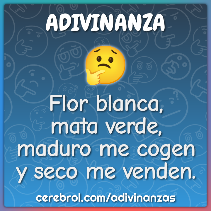 Flor blanca, mata verde, maduro me cogen y seco me venden. - Adivinanza ...